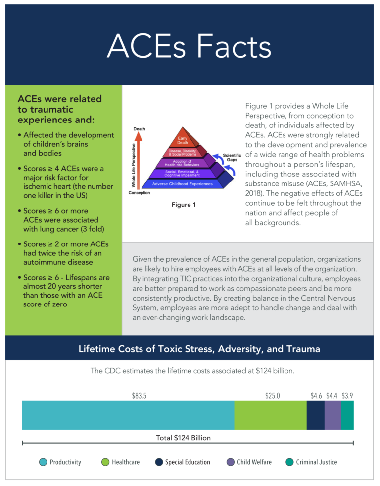 Organizational Certification | Trauma Institute International