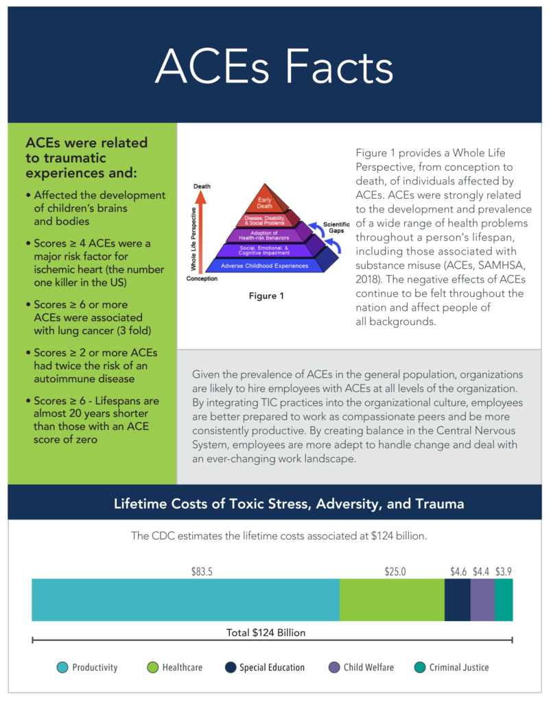 Organizational Certification | Trauma Institute International
