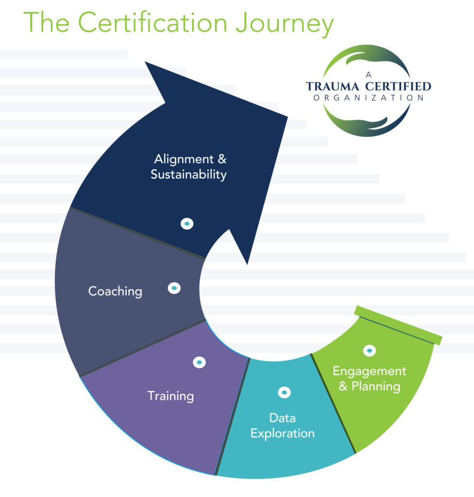 Organizational Certification | Trauma Institute International